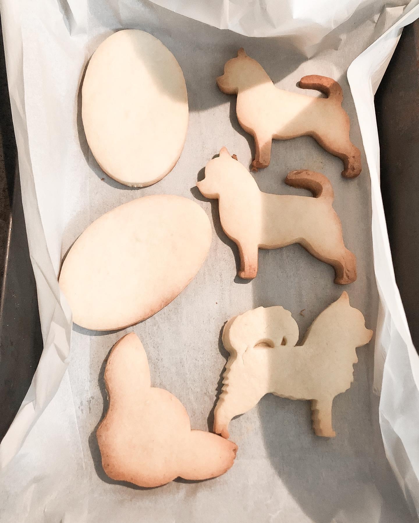 ⭐️ The Best Sugar Cookies – AppleGarden Chihuahuas